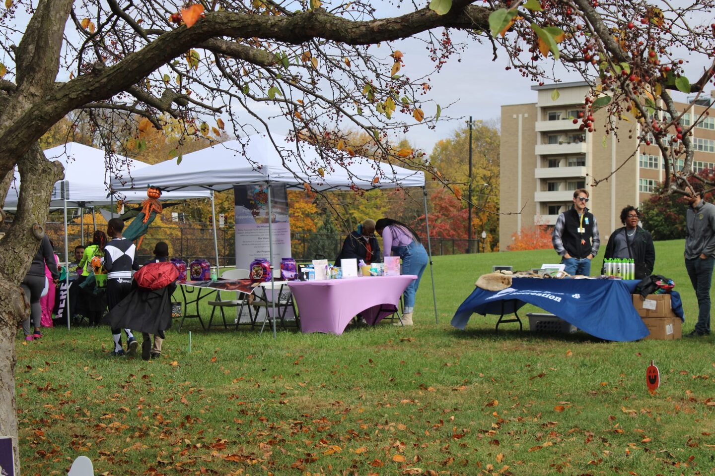 Tarkington Park - Indy Parks & Recreation