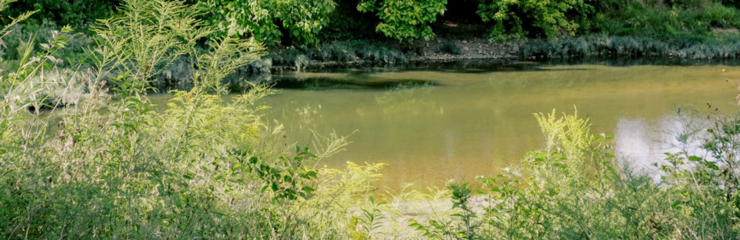 Parks Archive - Indy Parks & Recreation