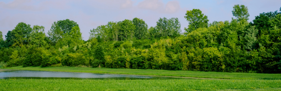 Cloverleaf Conservation Area - Indy Parks & Recreation