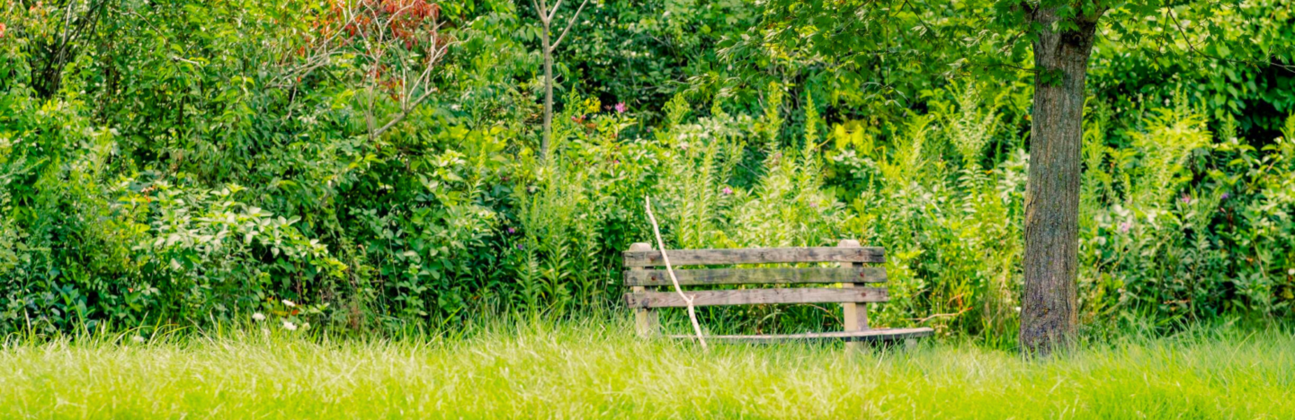 Gray Park - Indy Parks & Recreation