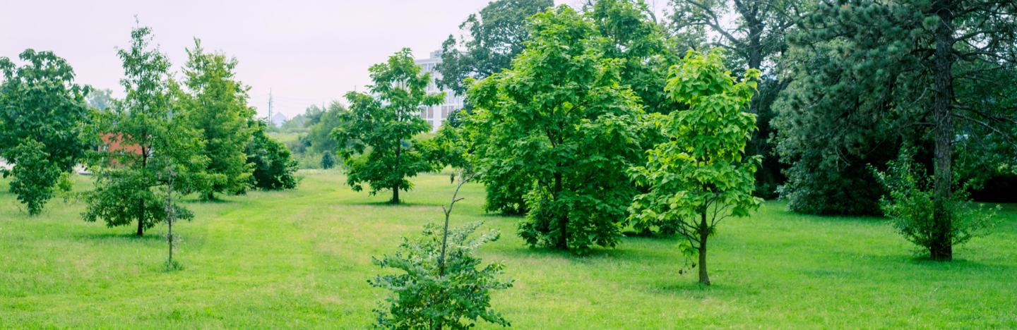 Rev Mozel Sanders Park - Indy Parks & Recreation