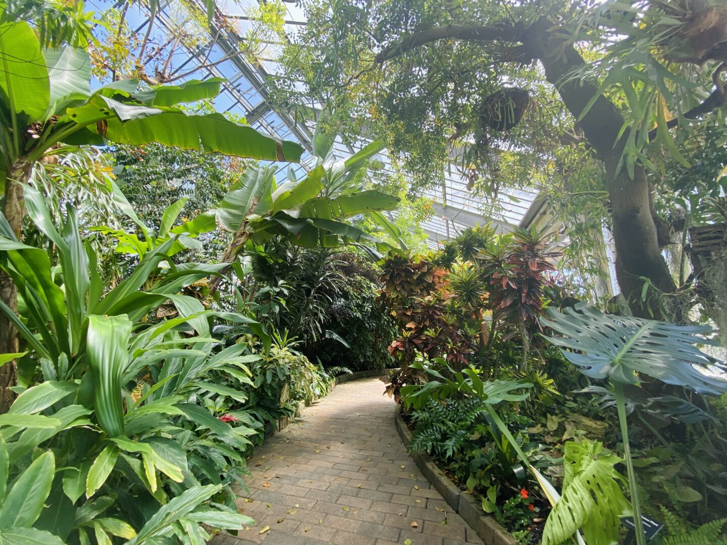 Garfield Park Conservatory & Sunken Garden - Indy Parks & Recreation
