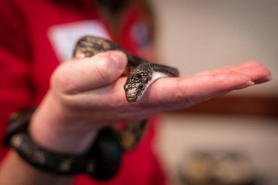 Welcome to Indy Parks & Recreation - Indy Parks & Recreation