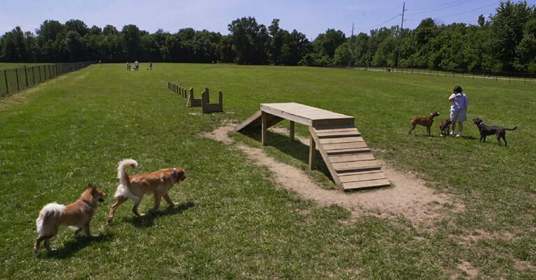 Dog Parks - Indy Parks & Recreation